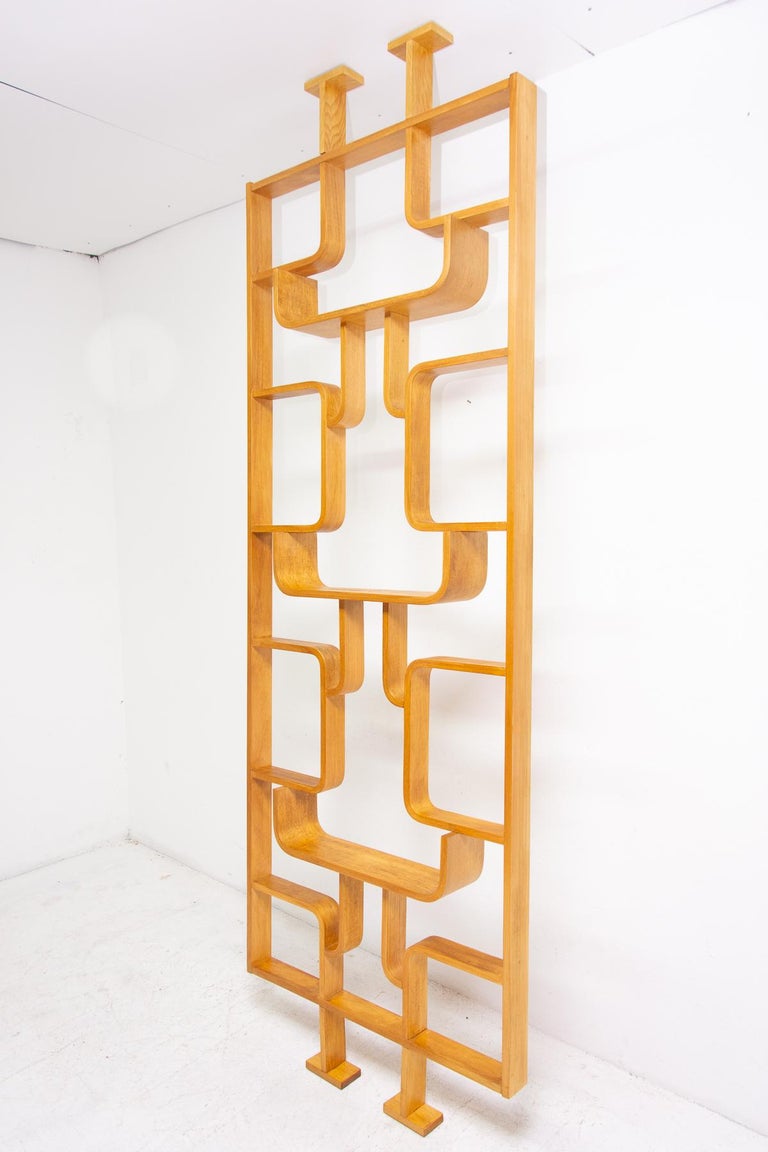 Midcentury Room Divider by Ludvik Volak for Drevopodnik Holesov, 1970s ...