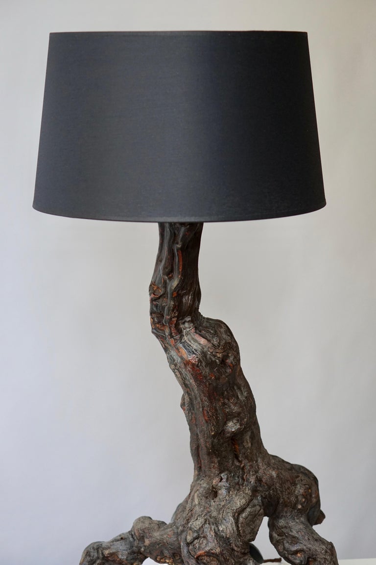 Midcentury Sculptural Burl Lamp For Sale at 1stDibs