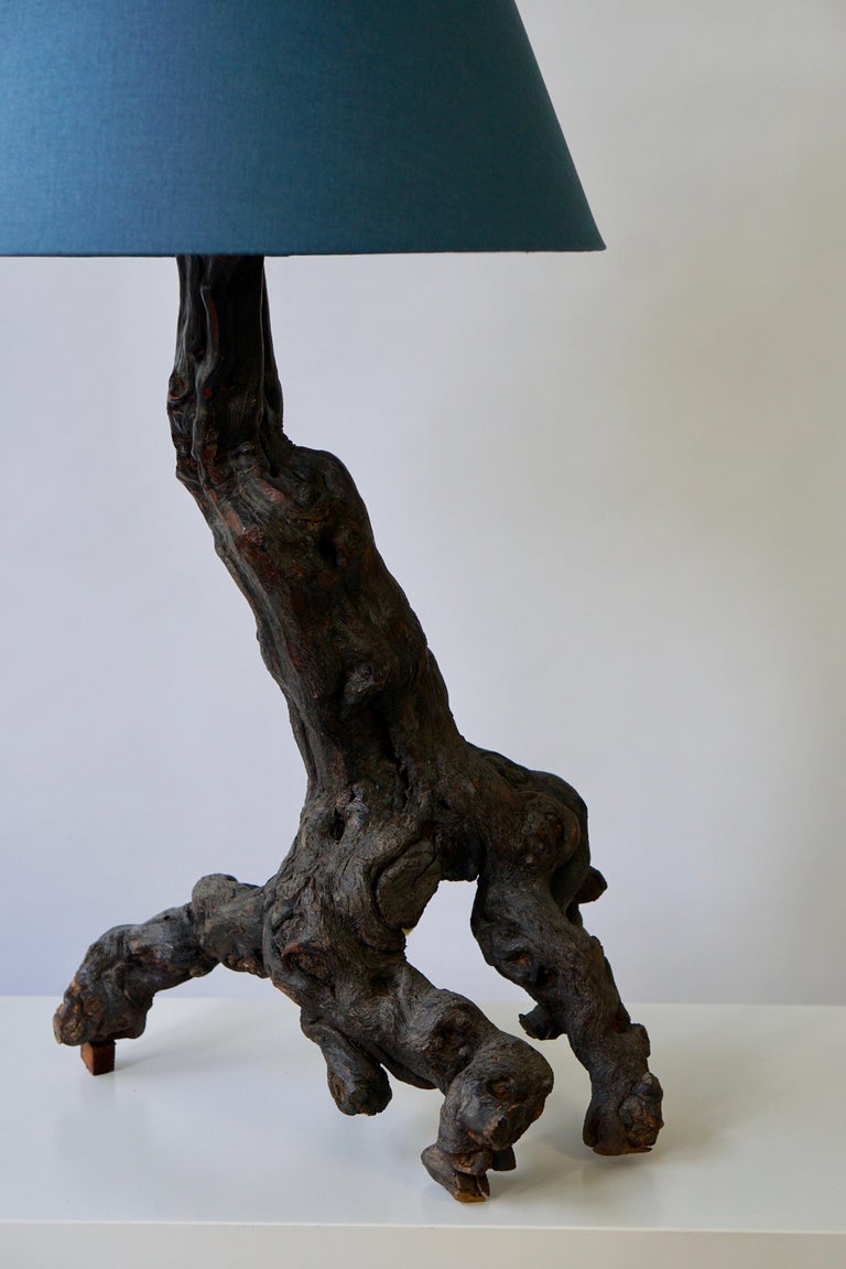 Midcentury Sculptural Burl Lamp For Sale at 1stDibs