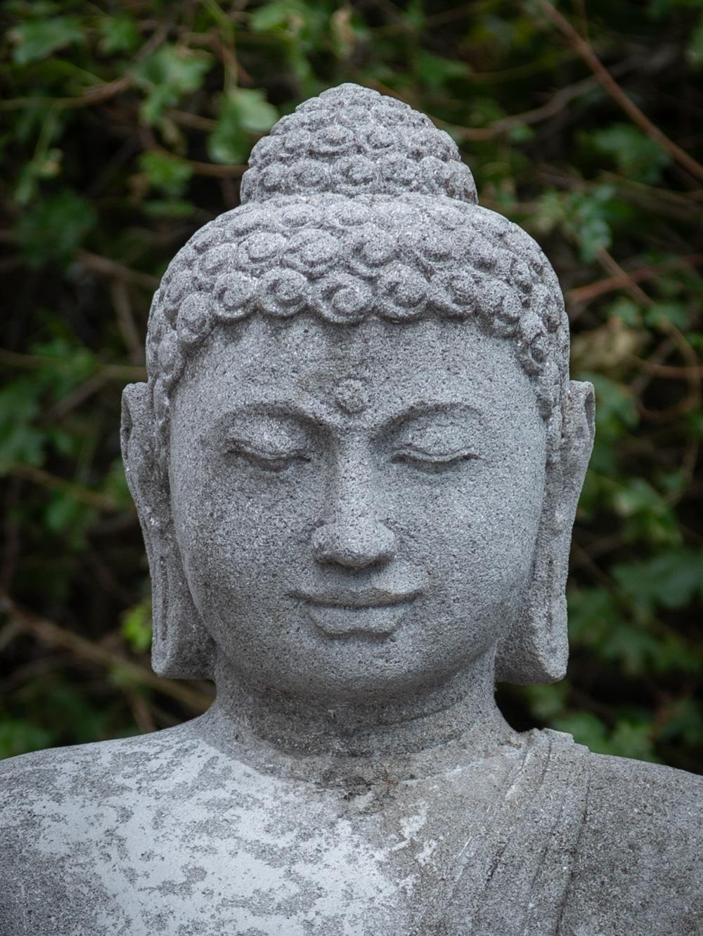 Middle 20th century old lavastone Buddha statue in Dhyana Mudra from ...