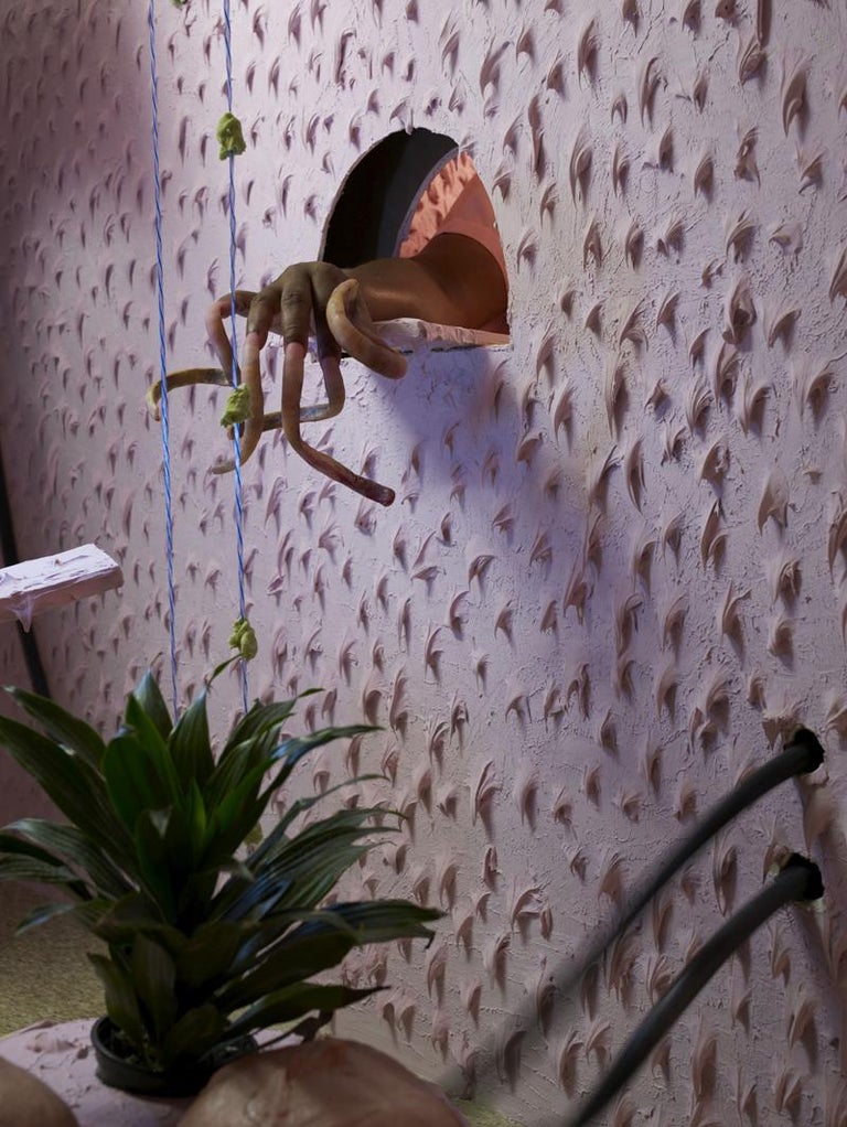 Mika Rottenberg - Hand For Sale at 1stDibs