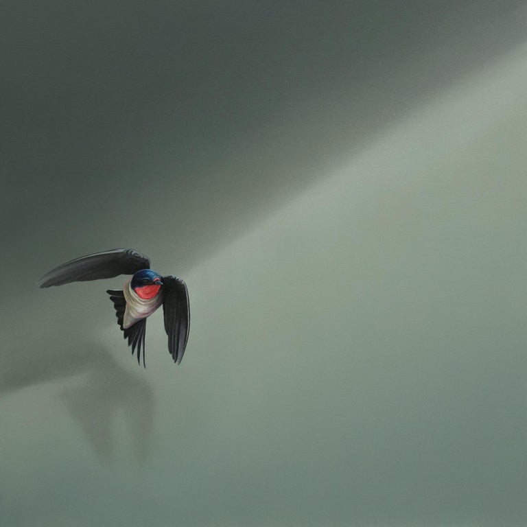 Mike Ellis - Seeker - Bird Painting, Wildlife, Nature, Garden ...