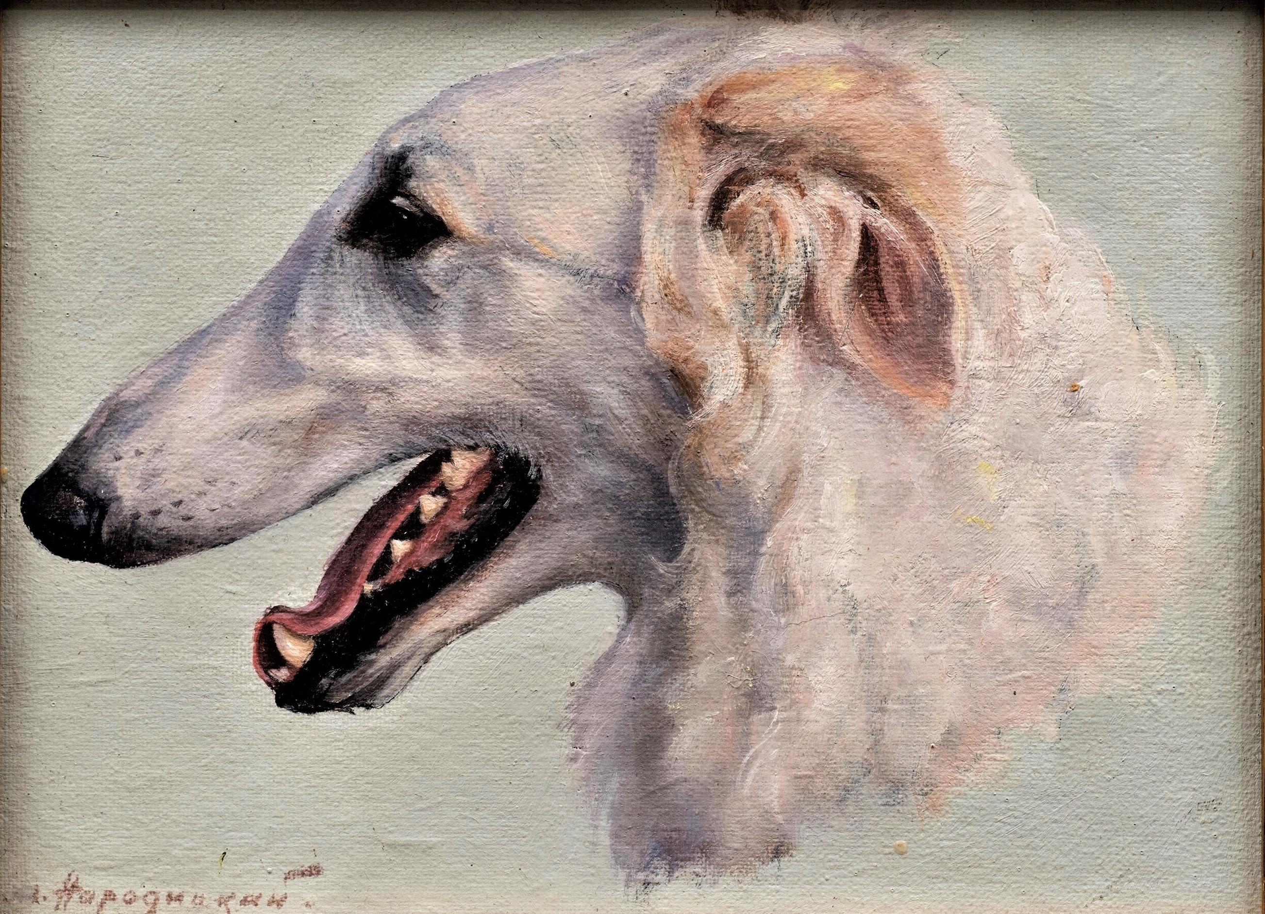 Mikhail Naraditsky - Dog Portrait "Head of a Borzoi" Mikhail Naroditsky ...