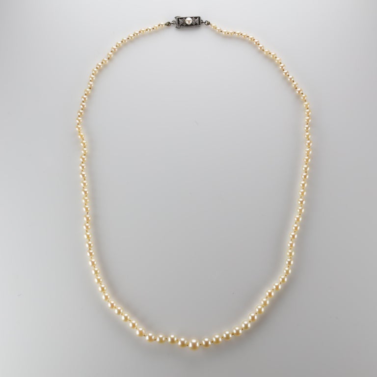 Mikimoto Original Strand of First Viable Cultured Pearls, circa 1920s ...
