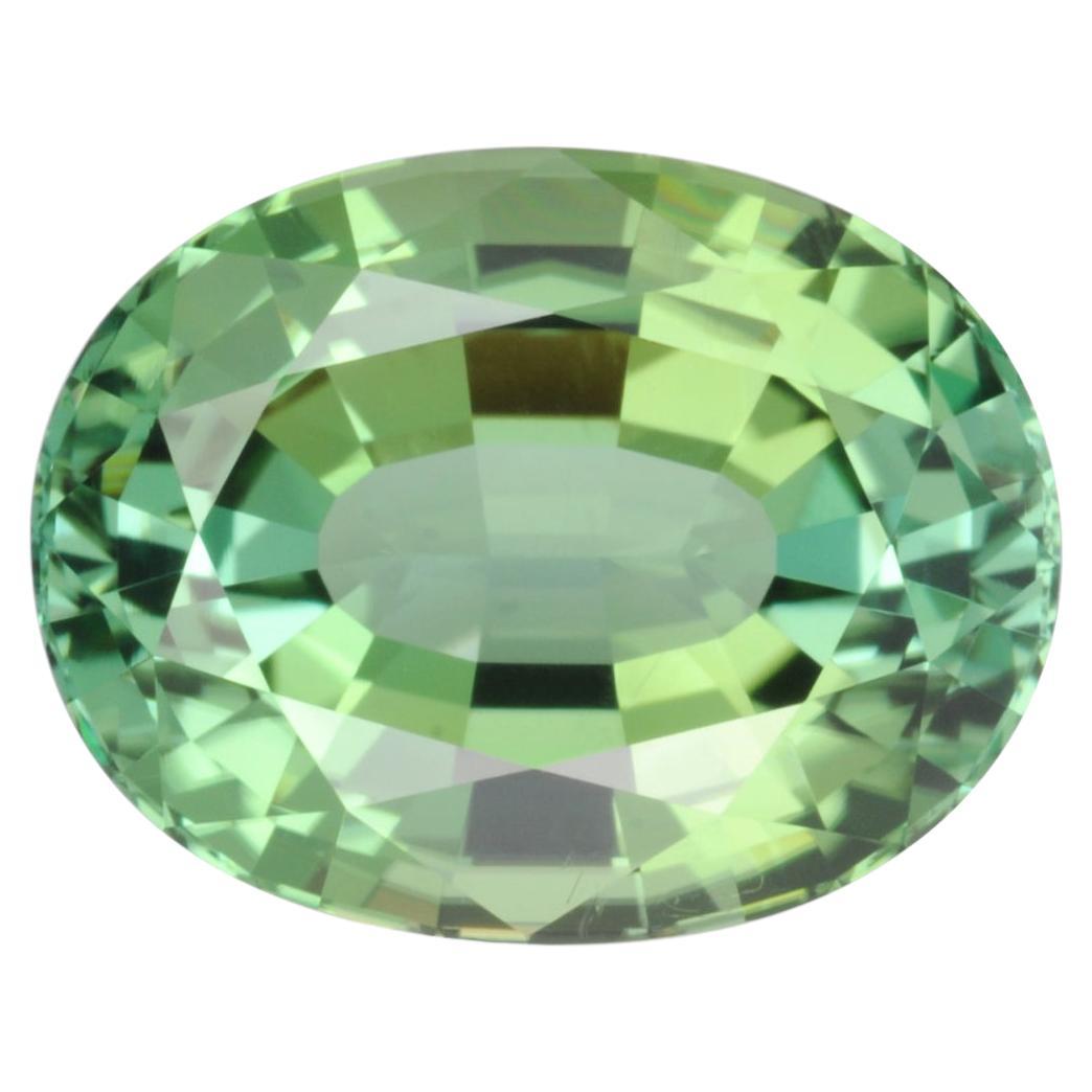 Mint Green Tourmaline Ring 13.34 Carat Oval For Sale at 1stDibs