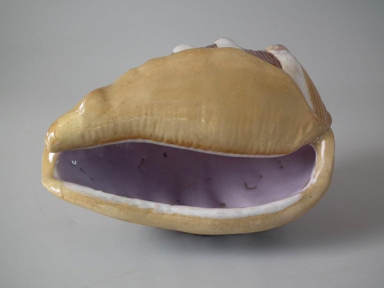 Minton Majolica Conch Shell Spoon Warmer at 1stDibs