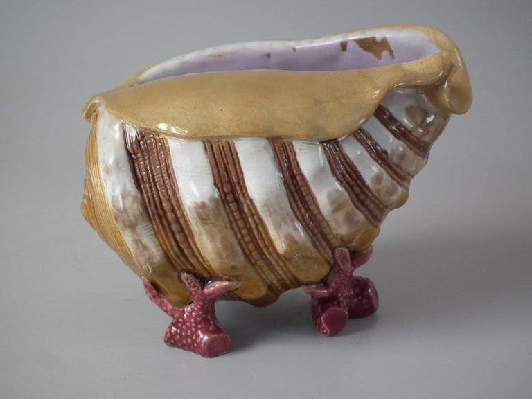 Minton Majolica Conch Shell Spoon Warmer at 1stDibs