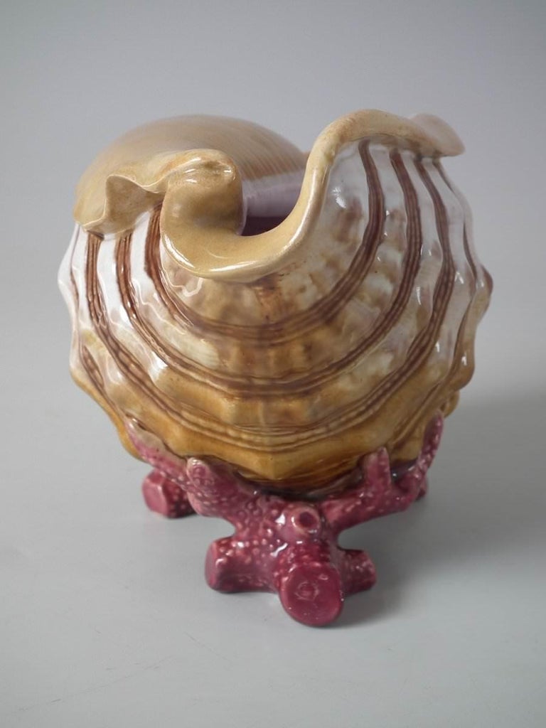 Minton Majolica Conch Shell Spoon Warmer at 1stDibs