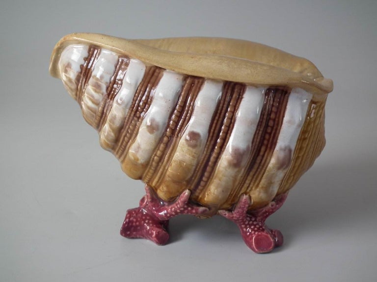 Minton Majolica Conch Shell Spoon Warmer at 1stDibs
