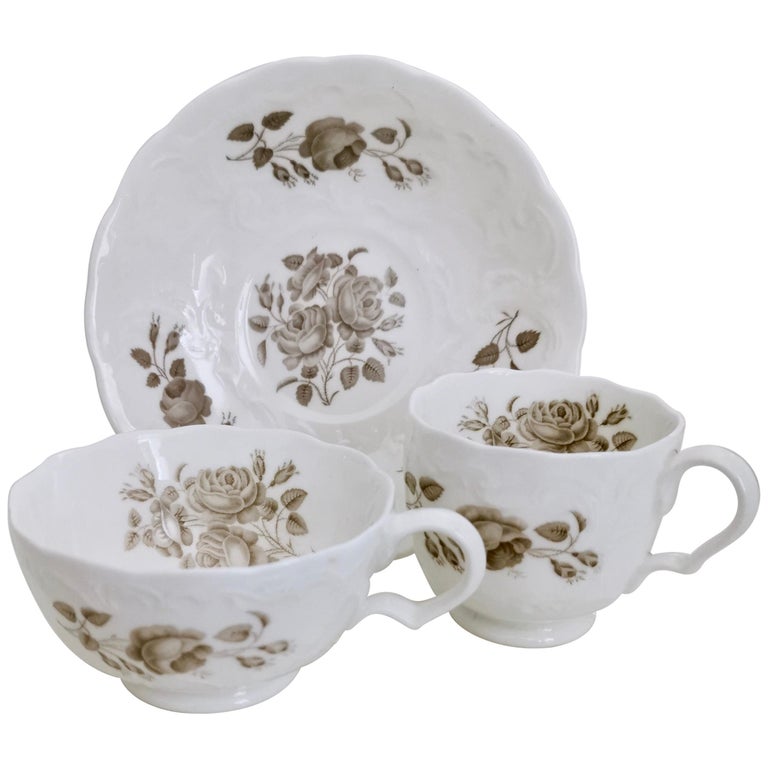 Minton Porcelain Teacup Trio, Bath Embossed White with Sepia Roses ...