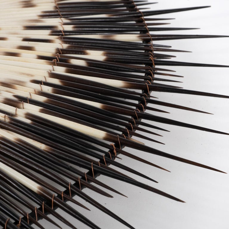 Mirror-Large Round Porcupine Quill For Sale at 1stDibs