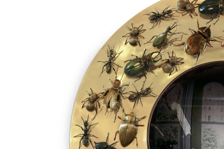 Mirror The Insects For Sale at 1stDibs | insect mirrors