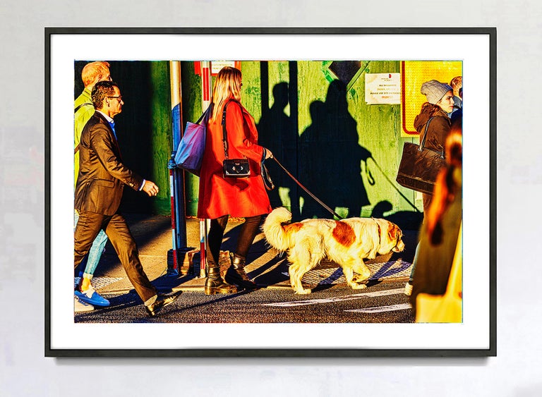 Mitchell Funk - Dog Walker in Magical Golden Light - Color Hunter ...