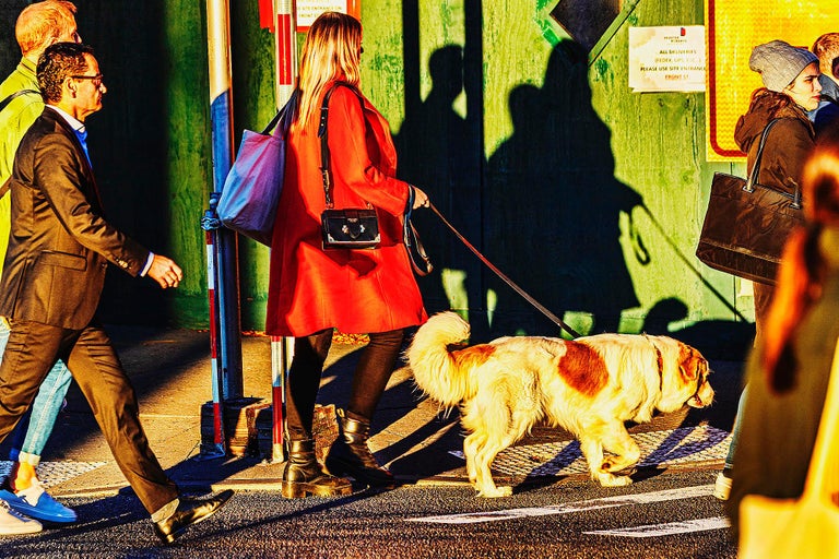 Mitchell Funk - Dog Walker in Magical Golden Light - Color Hunter ...