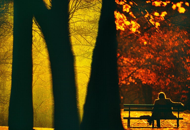 Mitchell Funk - Golden Light on Solitary Figure in Central Park For ...