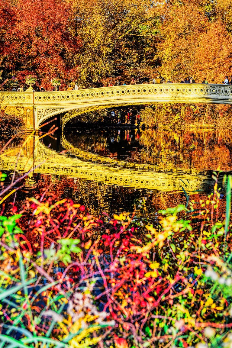 Mitchell Funk - Autumn colors For Sale at 1stDibs