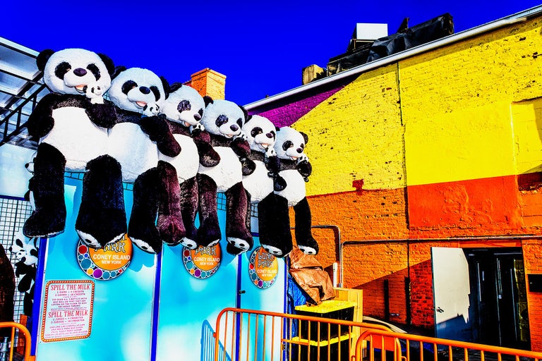 Mitchell Funk - Panda Pandemonium Coney Island Teddy Bear (ours ...