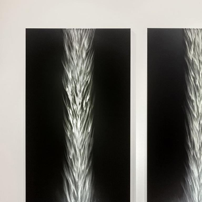 Mitchell Lonas - Flow I, II and III For Sale at 1stDibs