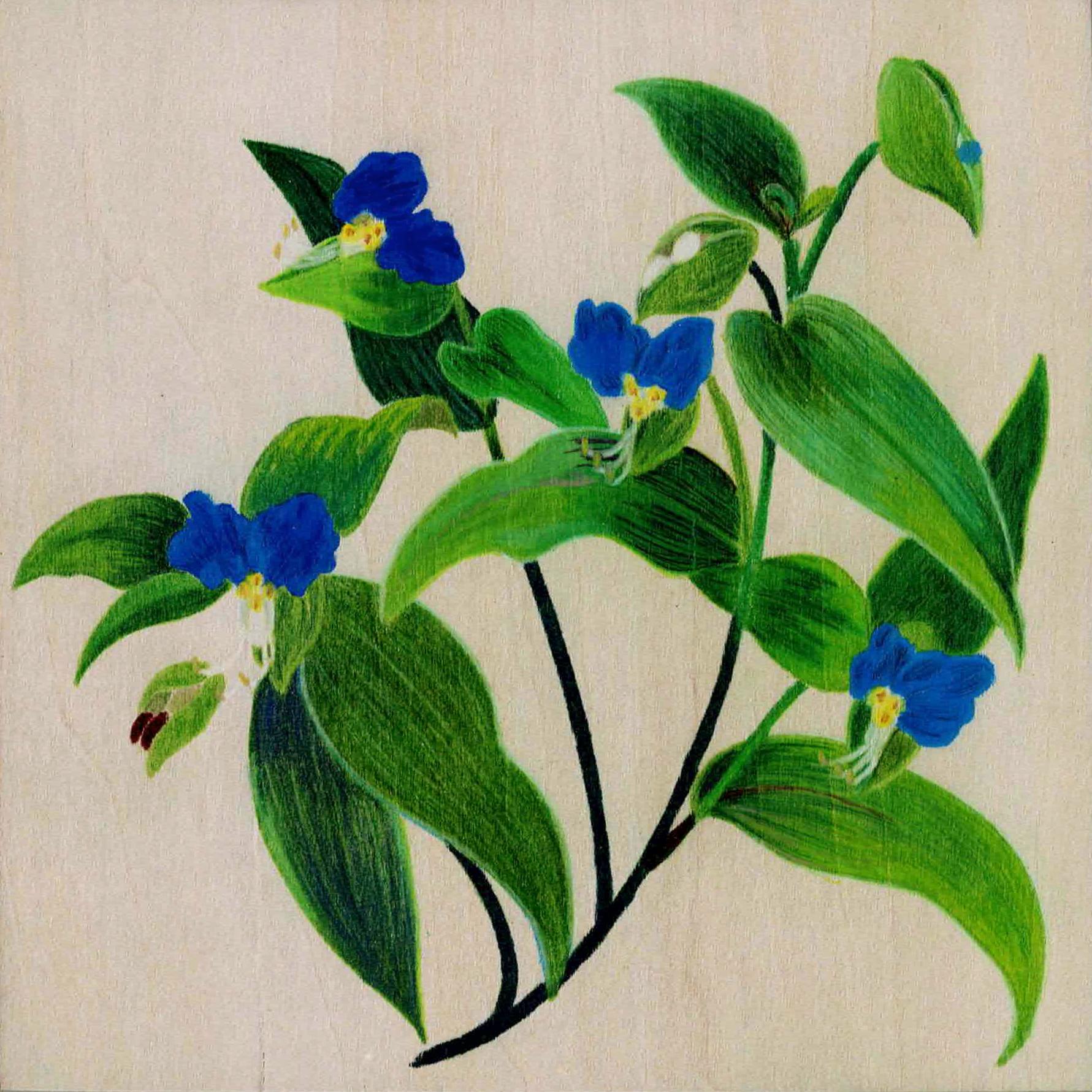 Mitsuyo Okada - Time is Movin' : Asiatic Dayflower For Sale at 1stDibs ...
