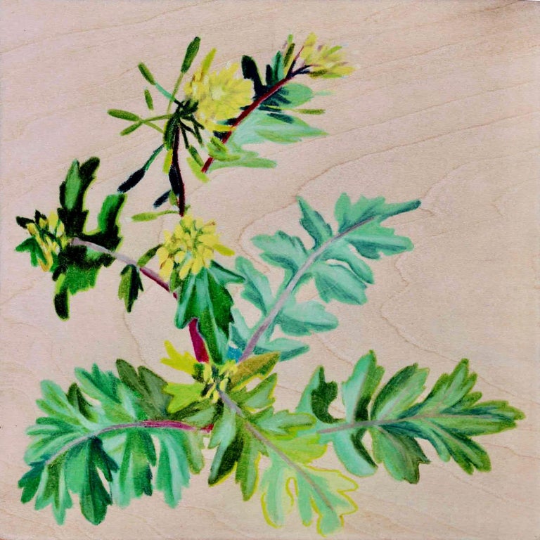 Mitsuyo Okada - Time is Movin' : Creeping yellowcress For Sale at 1stDibs