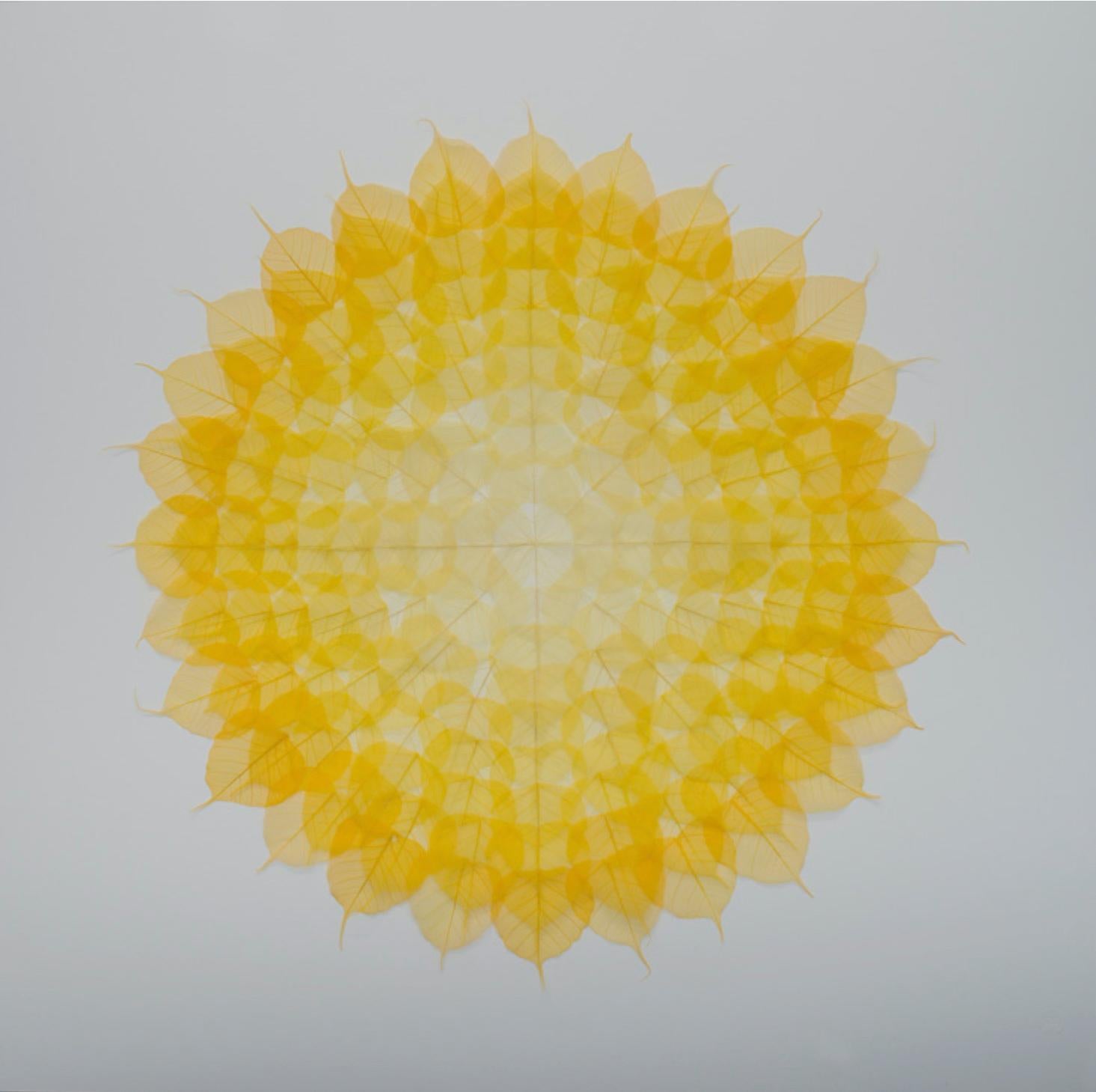 Miya Ando - Hamon Drawing 24 For Sale at 1stDibs