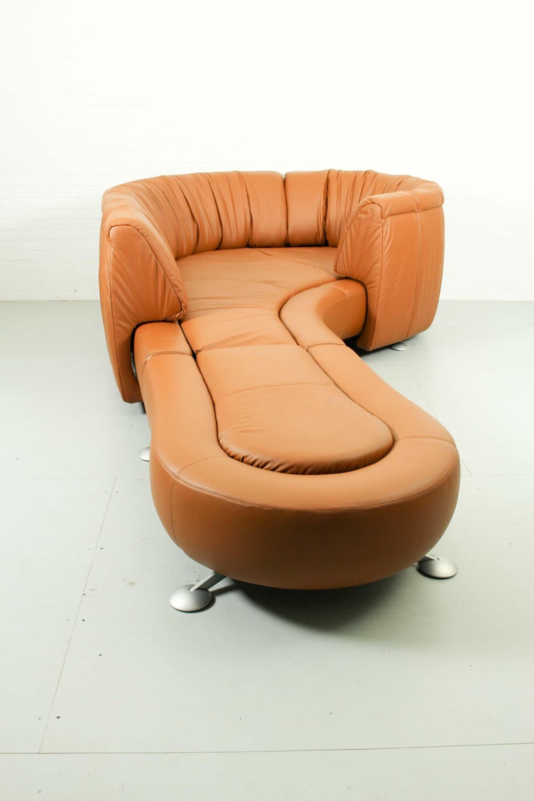 Model DS-1064 Landscape Sofa by Hugo de Ruiter for De Sede at 1stDibs