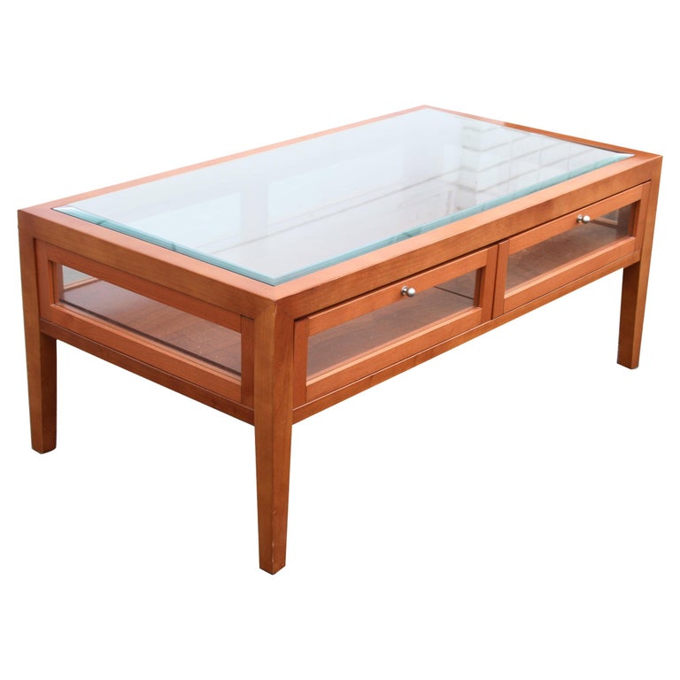 Modern 2-Tier Display Coffee Table at 1stDibs