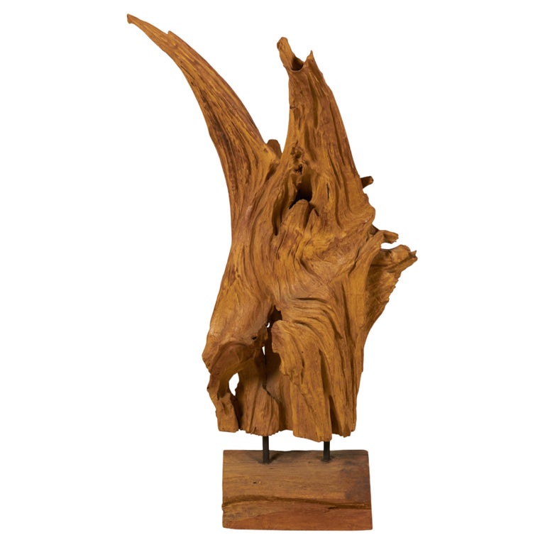 Modern Asian Teak Tree Root Sculpture For Sale at 1stDibs