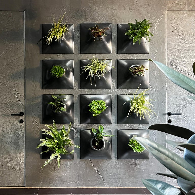 Modern Black Wall Planter, Plant Wall Sculpture, Living Decor, Node 15 ...