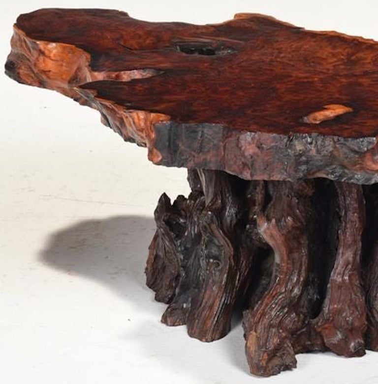 Modern Burl Live Edge Coffee Table, Smaller For Sale at 1stDibs