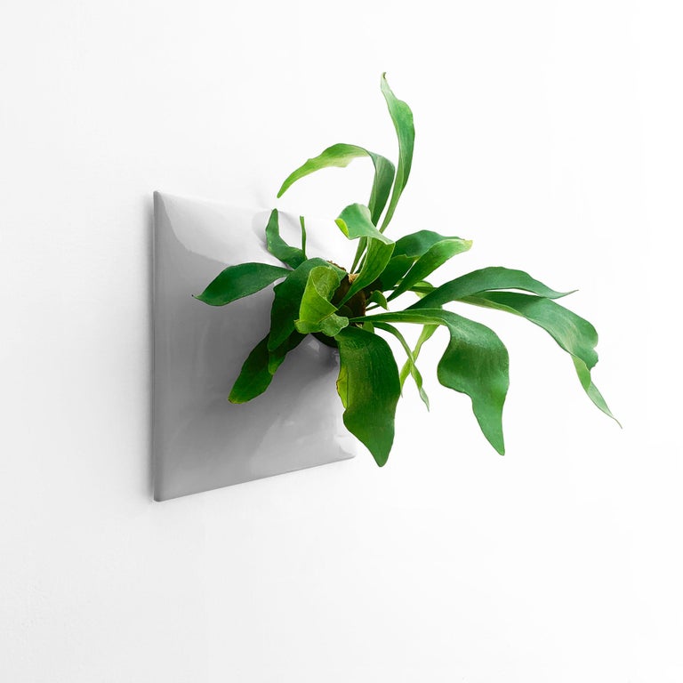Modern Ceramic Wall Planter, Plant Wall Art, Wall Decor, Node Medium Gray For Sale at 1stDibs