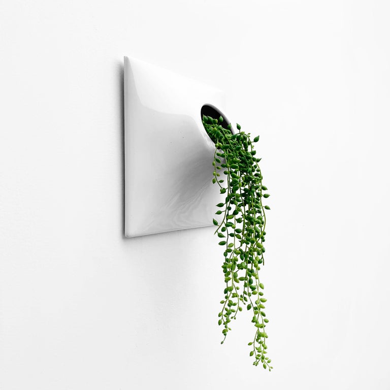 Modern Ceramic Wall Planter, Plant Wall, Living Wall Art, Node 9 ...