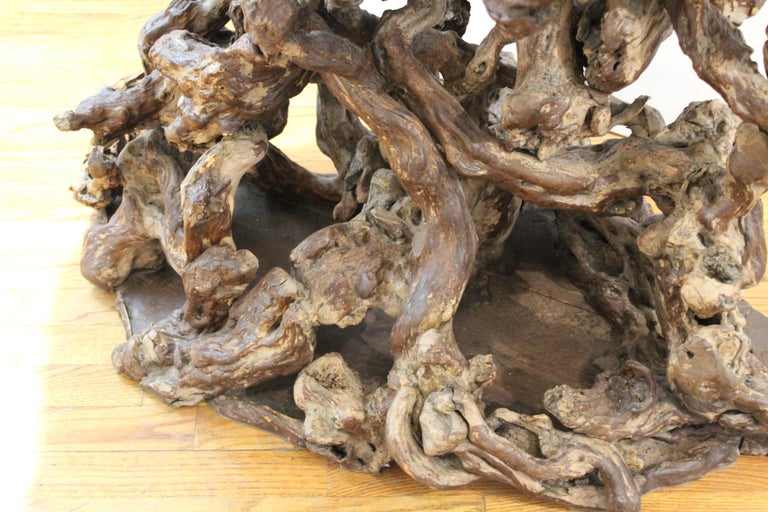 Modern Console Table with Tree Root Base at 1stDibs | tree console table