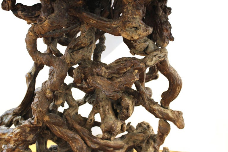 Modern Console Table with Tree Root Base at 1stDibs | tree console table