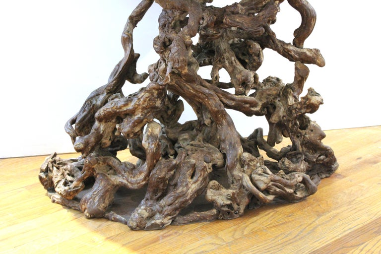 Modern Console Table with Tree Root Base at 1stDibs | tree console table