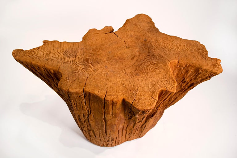 Modern Cypress Tree Trunk Dining Table 1970s Sandblasted Organic ...