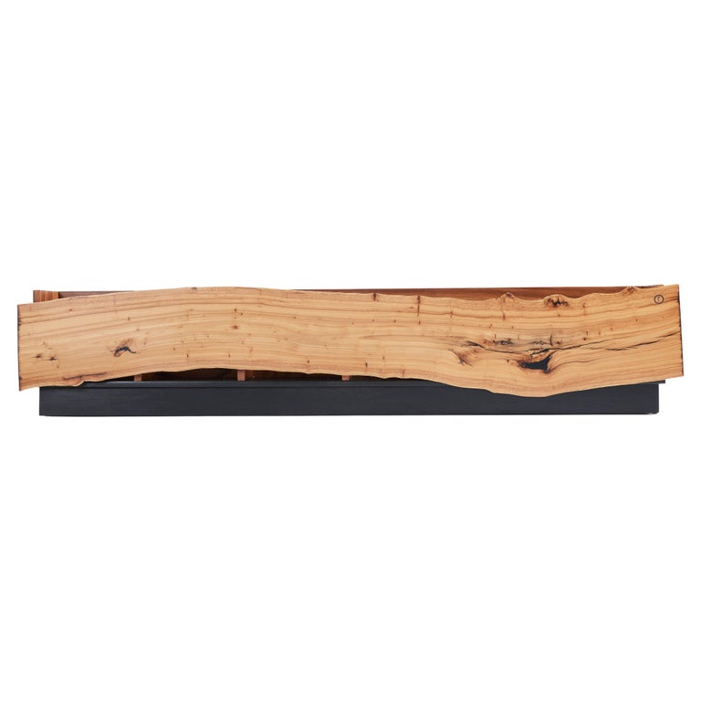 Modern Organic Live Edge Elm Slab Record Console by Carlo Stenta For ...