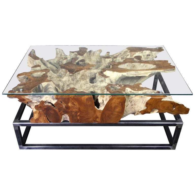 Modern Organic Teak Root Coffee Table on Industrial Steel Base with ...