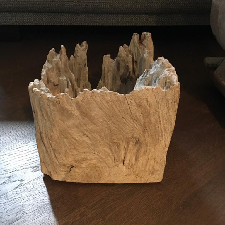 Oceanic Wood Natural Hand Carved Abstract Sculpture or Paperweights For ...