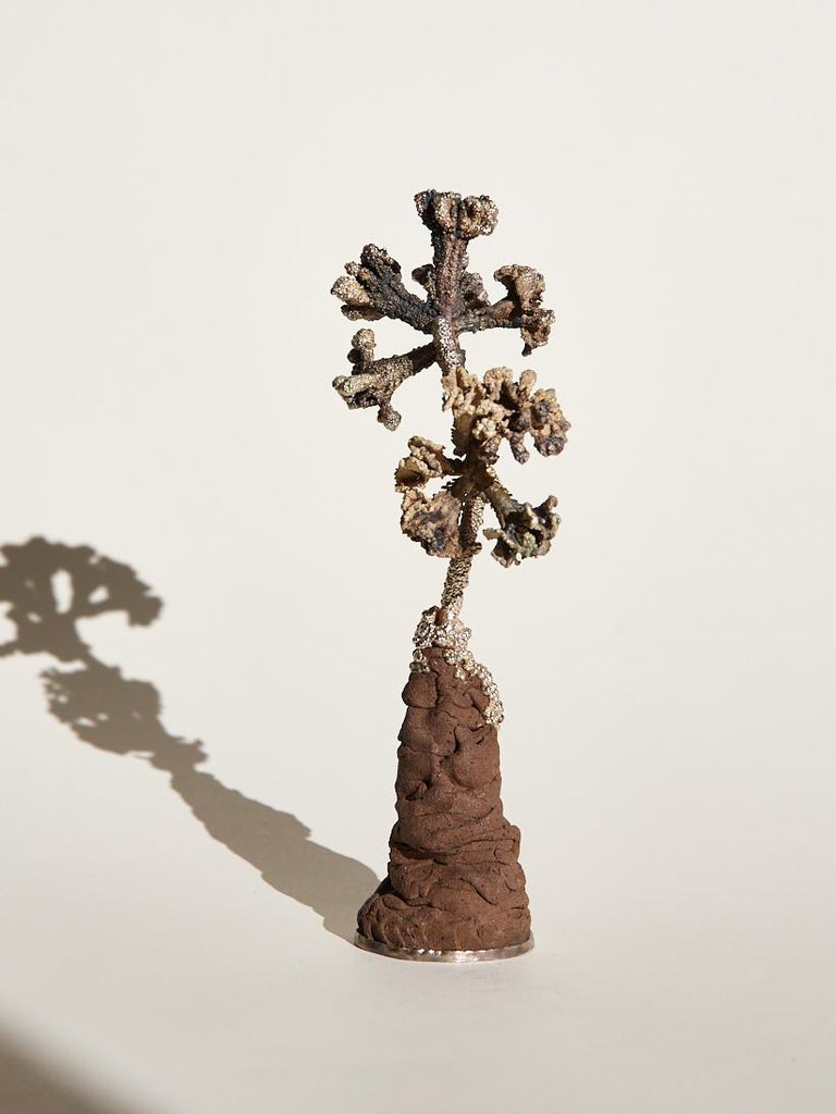 Modern Sculpture "Indoors Gardens #02" by María Ignacia Walker Ceramic ...