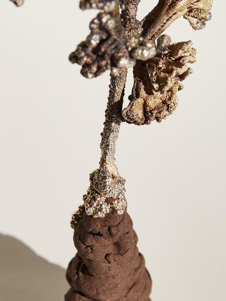 Modern Sculpture "Indoors Gardens #02" by María Ignacia Walker Ceramic ...