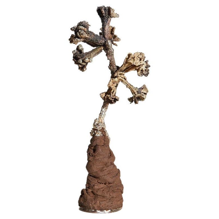 Modern Sculpture "Indoors Gardens #02" by María Ignacia Walker Ceramic ...