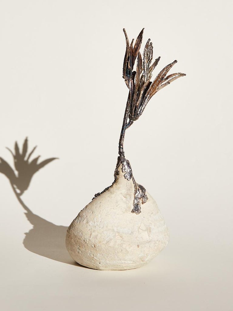 Modern Sculpture "Indoors Gardens #03" by María Ignacia Walker Ceramic ...