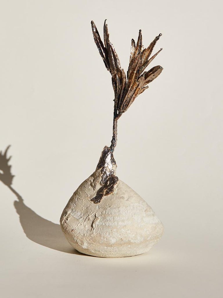 Modern Sculpture "Indoors Gardens #03" by María Ignacia Walker Ceramic ...