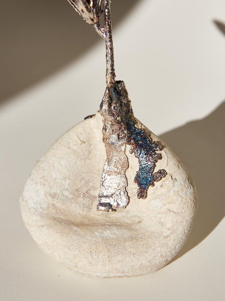 Modern Sculpture "Indoors Gardens #03" by María Ignacia Walker Ceramic ...