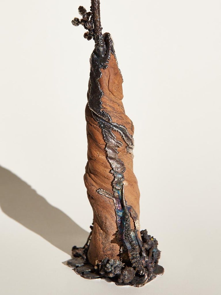Modern Sculpture "Indoors Gardens #04" by María Ignacia Walker Ceramic ...