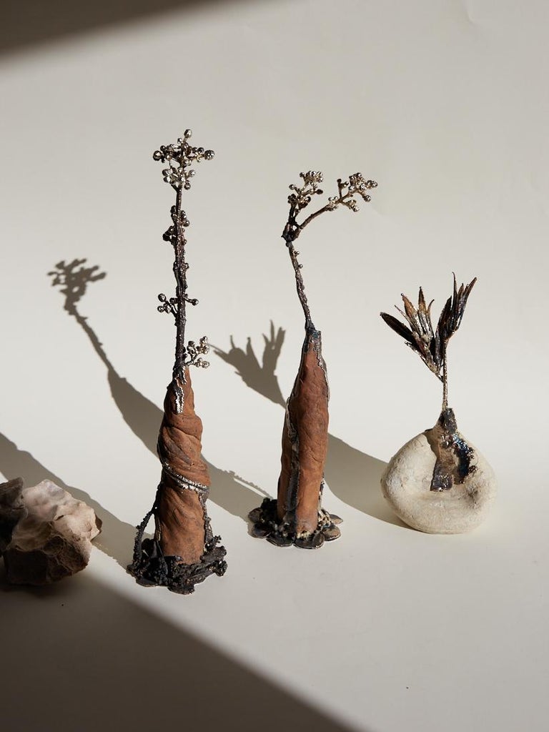 Modern Sculpture "Indoors Gardens #04" by María Ignacia Walker Ceramic ...