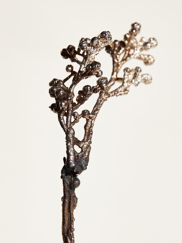 Modern Sculpture "Indoors Gardens #05" by María Ignacia Walker Ceramic ...