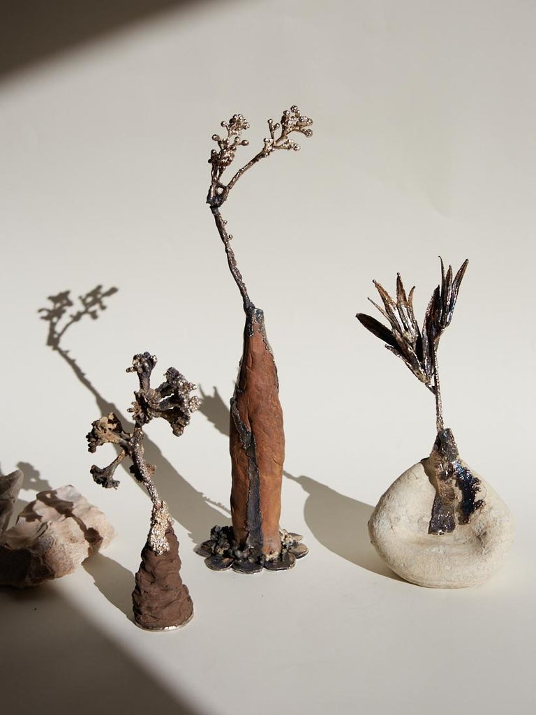 Modern Sculpture "Indoors Gardens #05" by María Ignacia Walker Ceramic ...