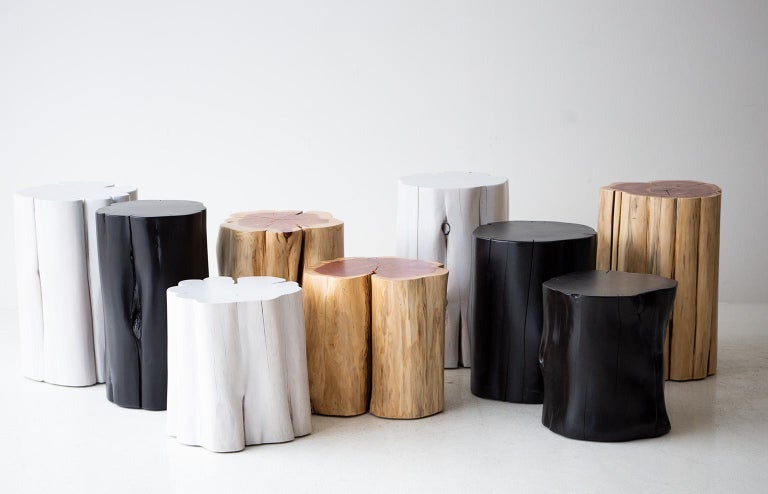 Modern Side Table / Natural Stump For Sale at 1stDibs